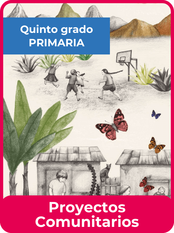 Proyectos comunitarios quinto grado de primaria 2024-2025