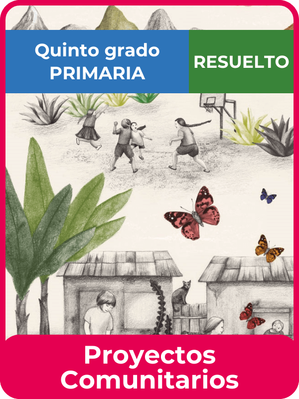 Proyectos comunitarios quinto grado de primaria 2024-2025